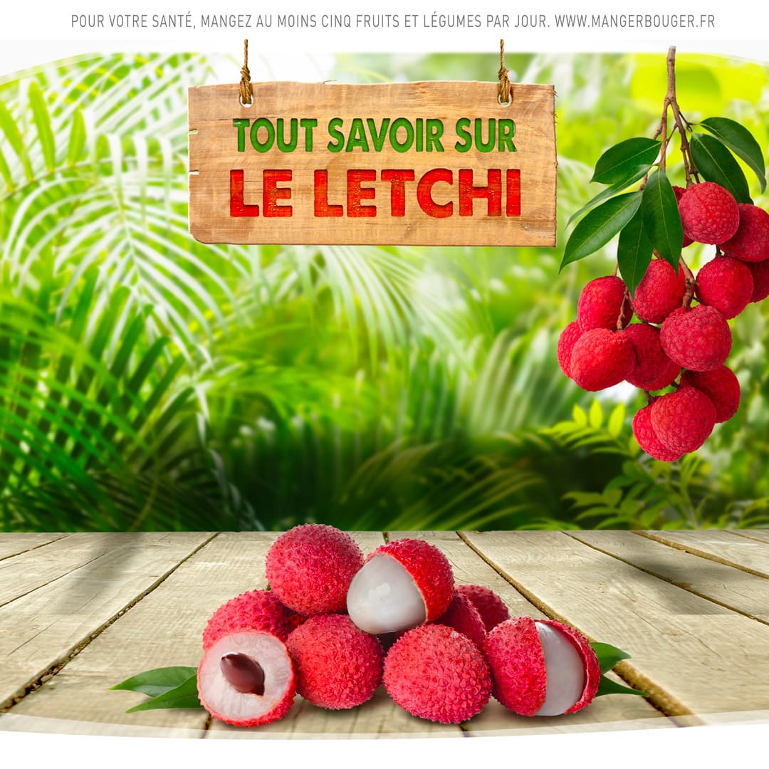 Tout savoir sur le Letchi